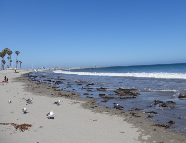 Southern California Beaches | Best Vacation Spots